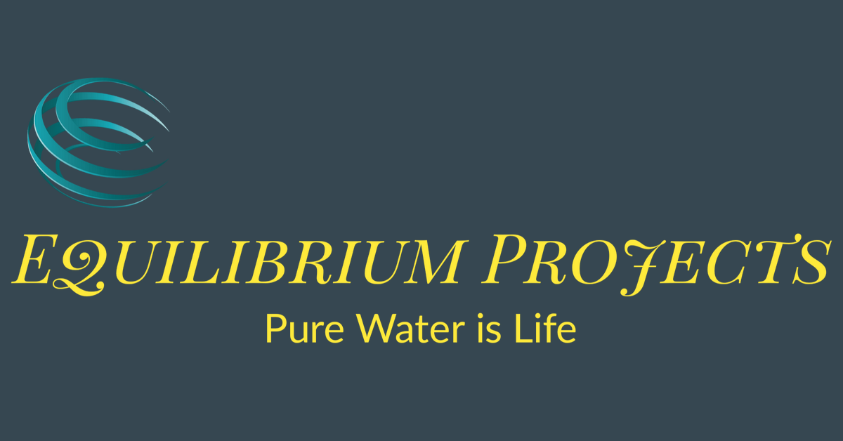 Equilibrium Projects Assist